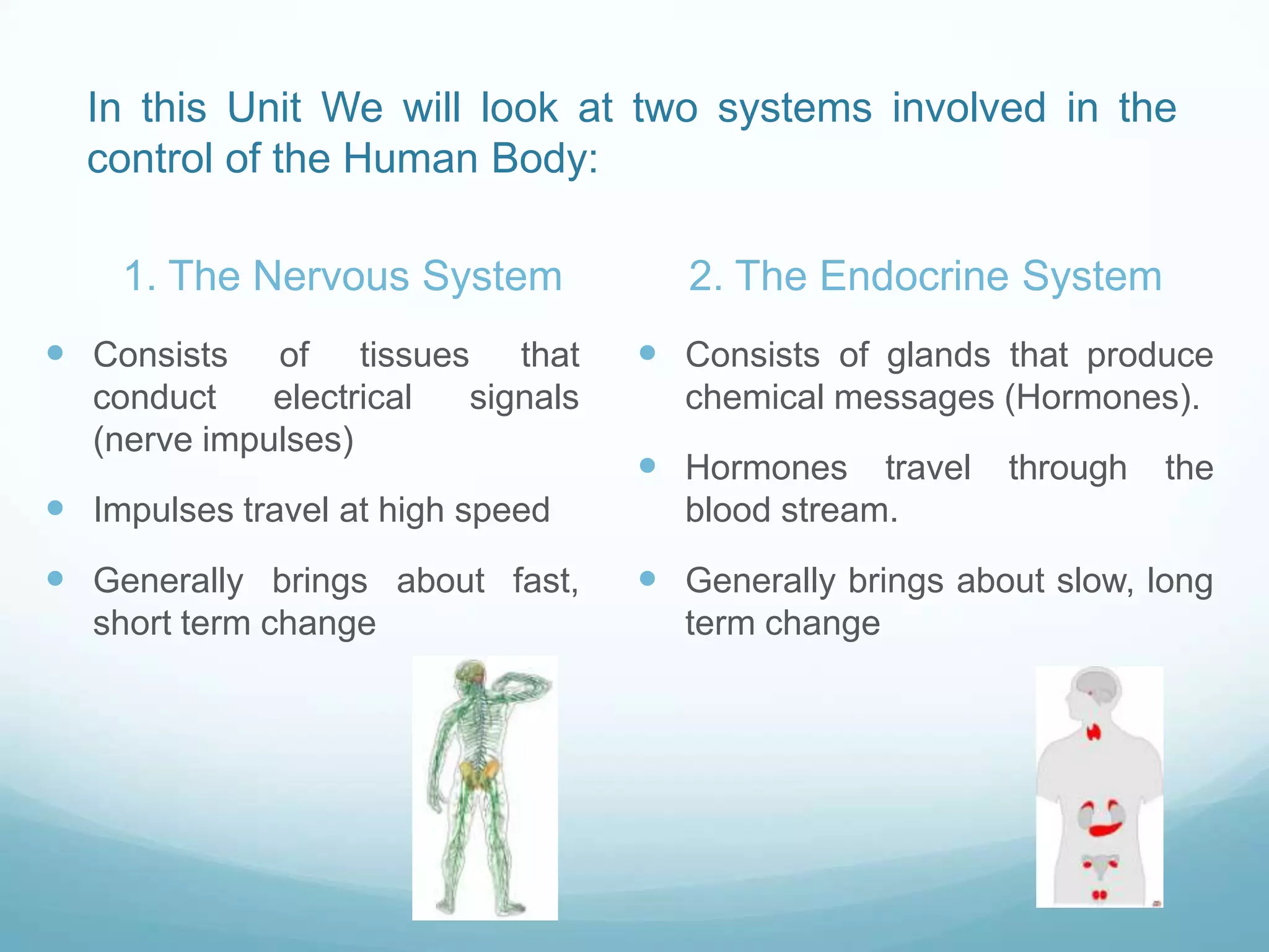 Body control systems nervous system | PPT