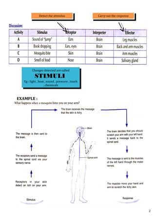 Body coordination | DOC