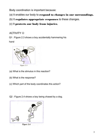 Body coordination | DOC