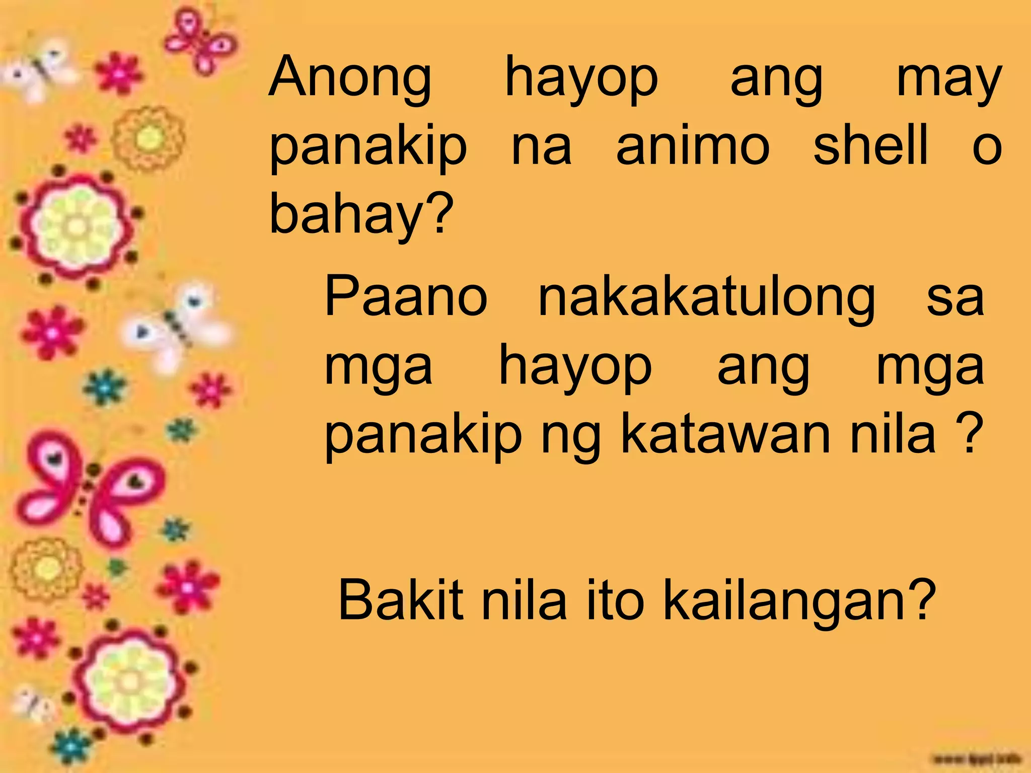 Body covering of animals | PPTX