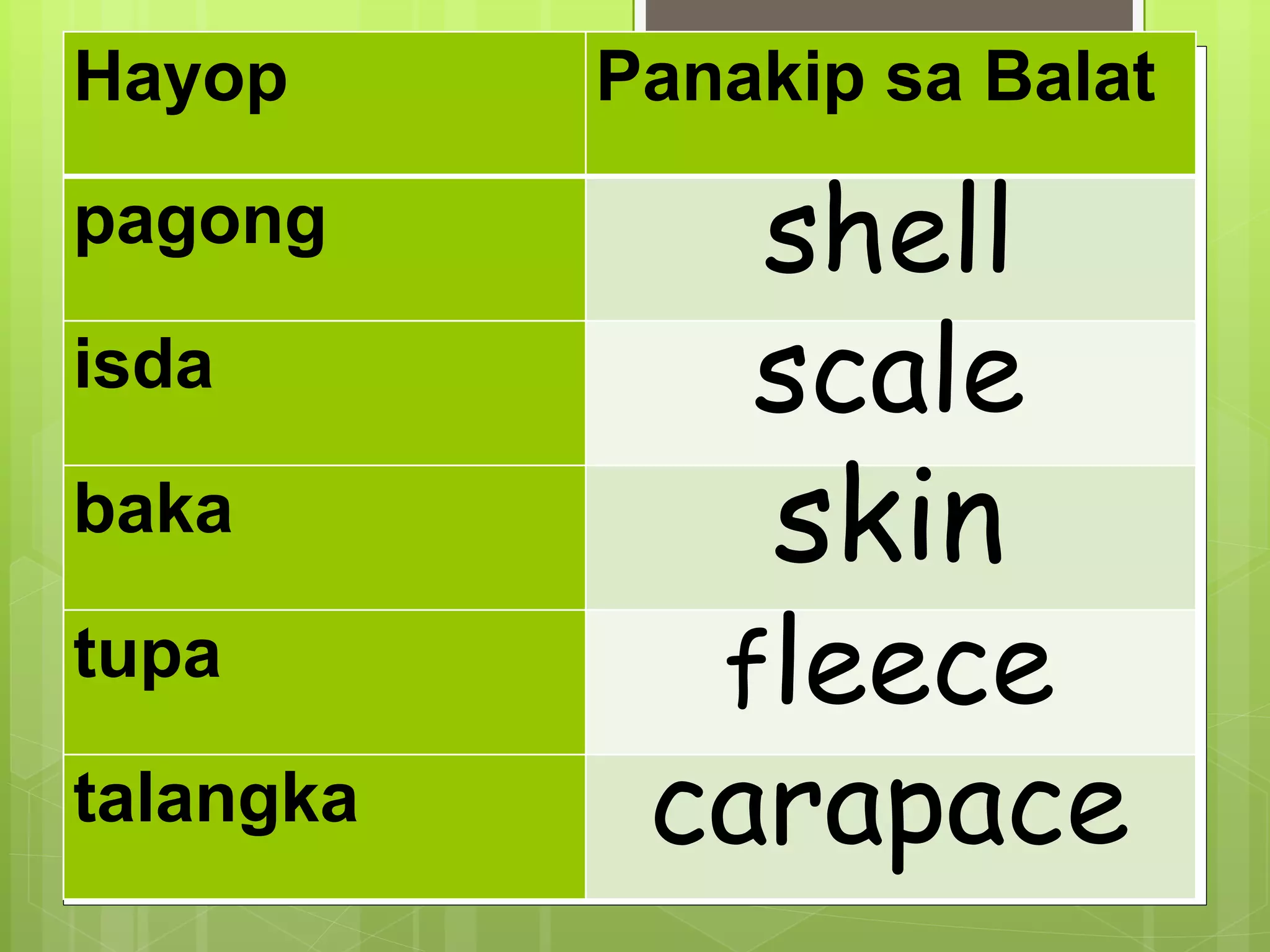 Body covering of animals | PPTX