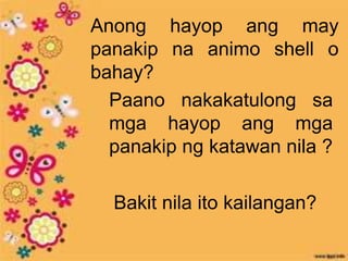 Body covering of animals | PPTX