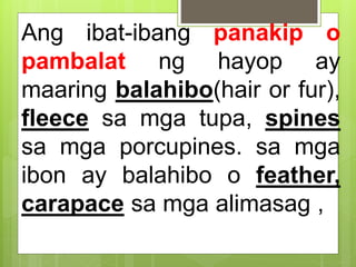 Body covering of animals | PPTX