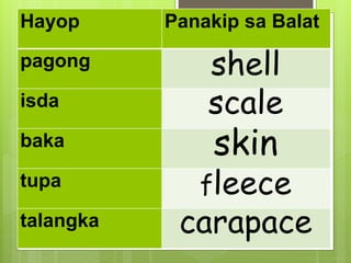 Body covering of animals | PPTX