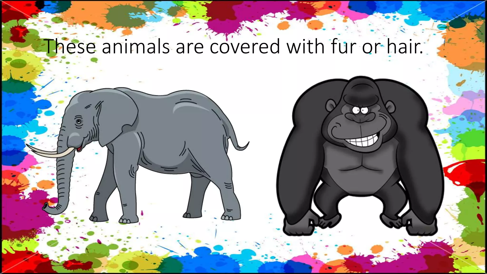 Body Covering of Animals | PPTX