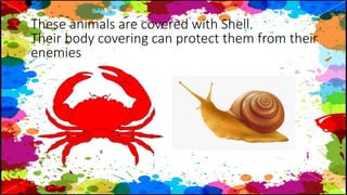 Body Covering of Animals | PPTX