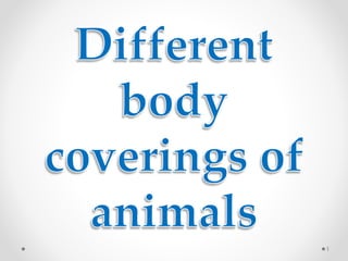 Body Coverings of Animals | PPTX