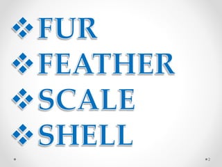 Body Coverings of Animals | PPTX