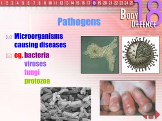 BODY DEFENCES: The Importance of having Body Defense System | PPT