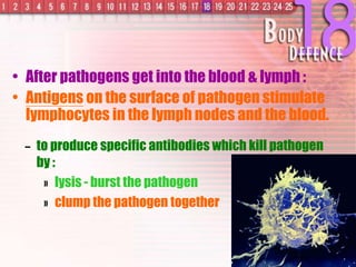 BODY DEFENCES: The Importance of having Body Defense System | PPT