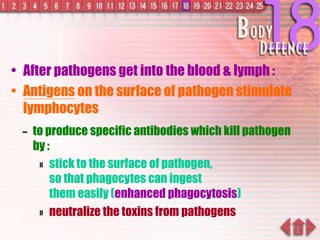 BODY DEFENCES: The Importance of having Body Defense System | PPT