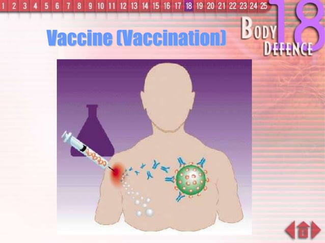 BODY DEFENCES: The Importance of having Body Defense System | PPT