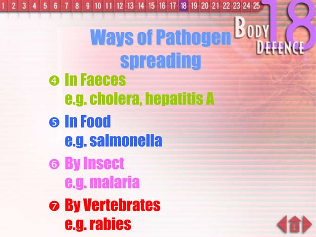 BODY DEFENCES: The Importance of having Body Defense System | PPT