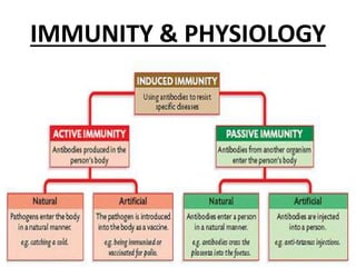 BODY DEFENSES & IMMUNITY | PPTX