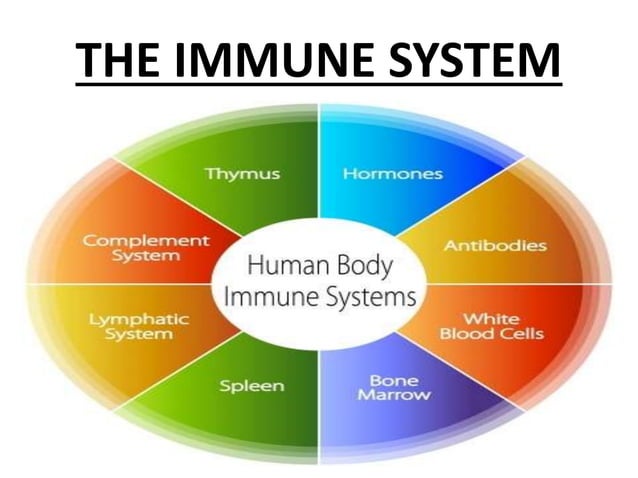 BODY DEFENSES & IMMUNITY | PPTX | Infectious Diseases | Diseases and ...