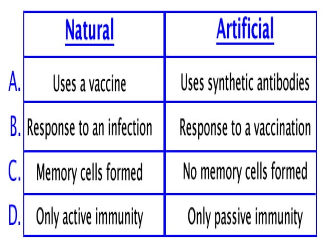 BODY DEFENSES & IMMUNITY | PPTX | Infectious Diseases | Diseases and ...