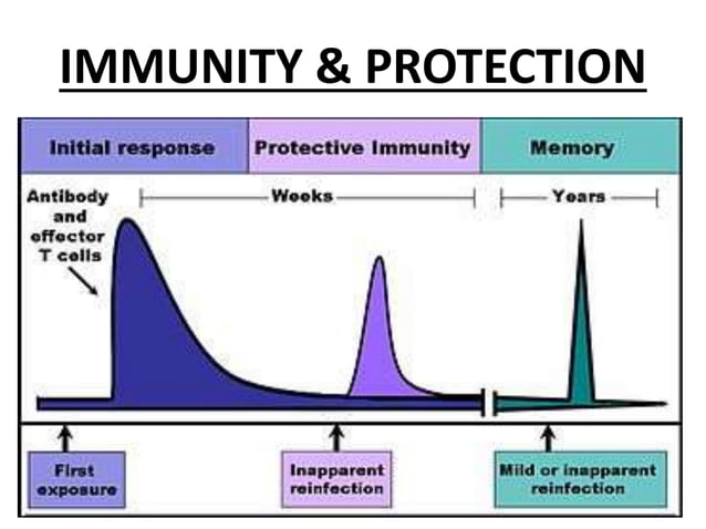 BODY DEFENSES & IMMUNITY | PPTX | Infectious Diseases | Diseases and ...