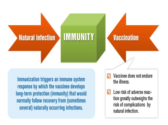 BODY DEFENSES & IMMUNITY | PPTX | Infectious Diseases | Diseases and ...