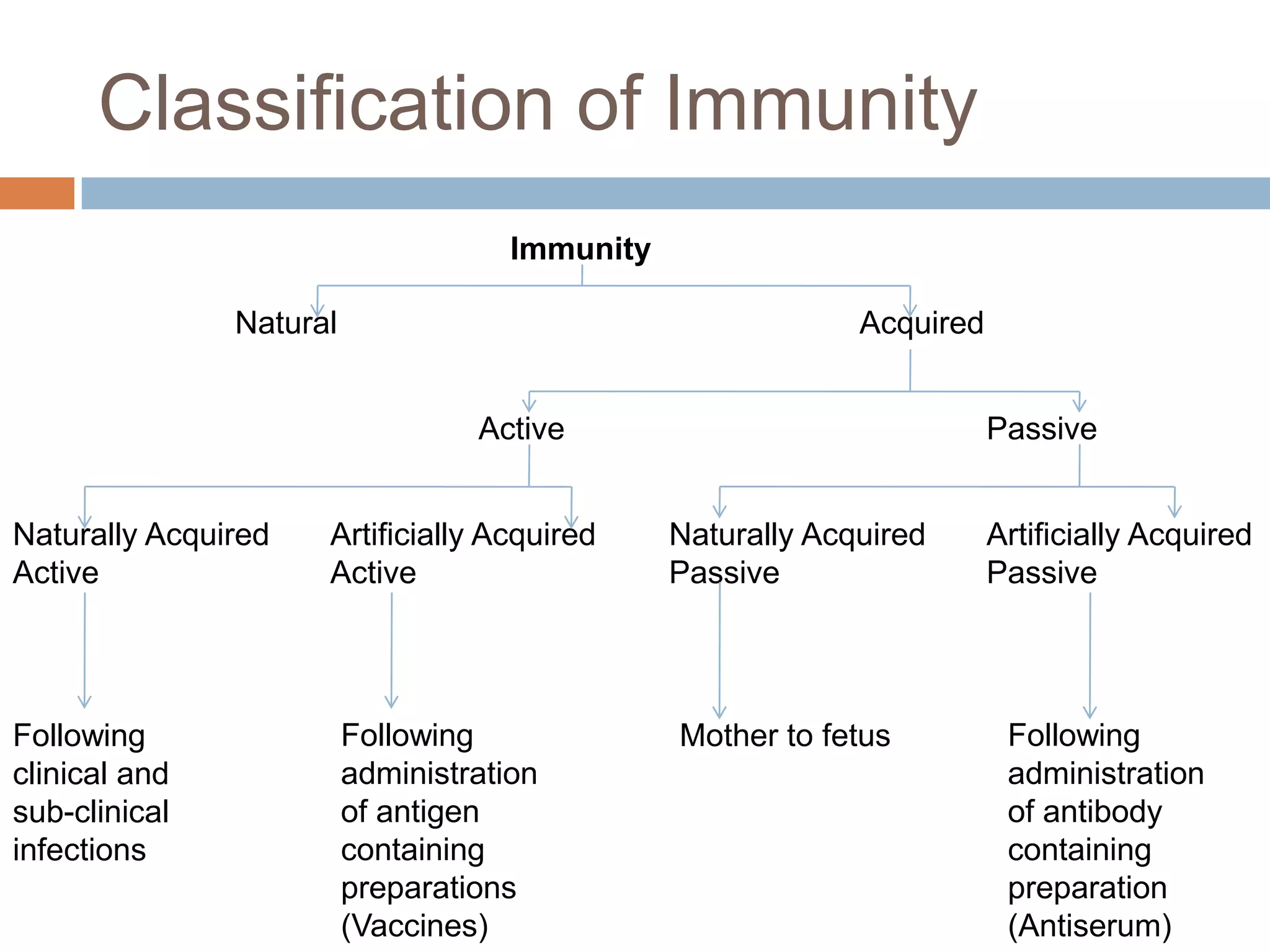 Body Defense Mechanism | PPTX