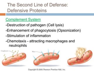 Body Defense Mechanism | PPTX