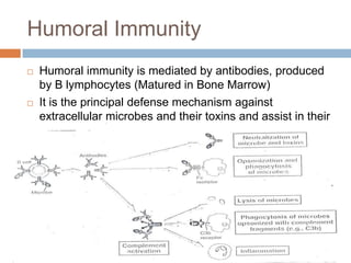 Body Defense Mechanism | PPTX