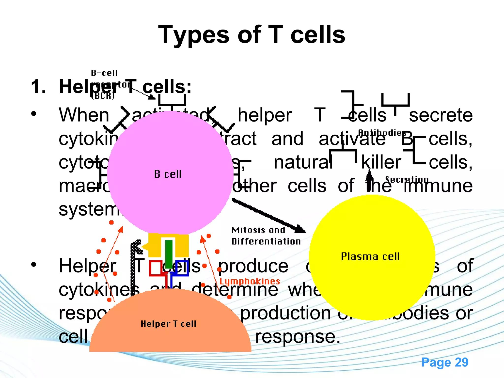 Body defense mechanism and immunity | PPT