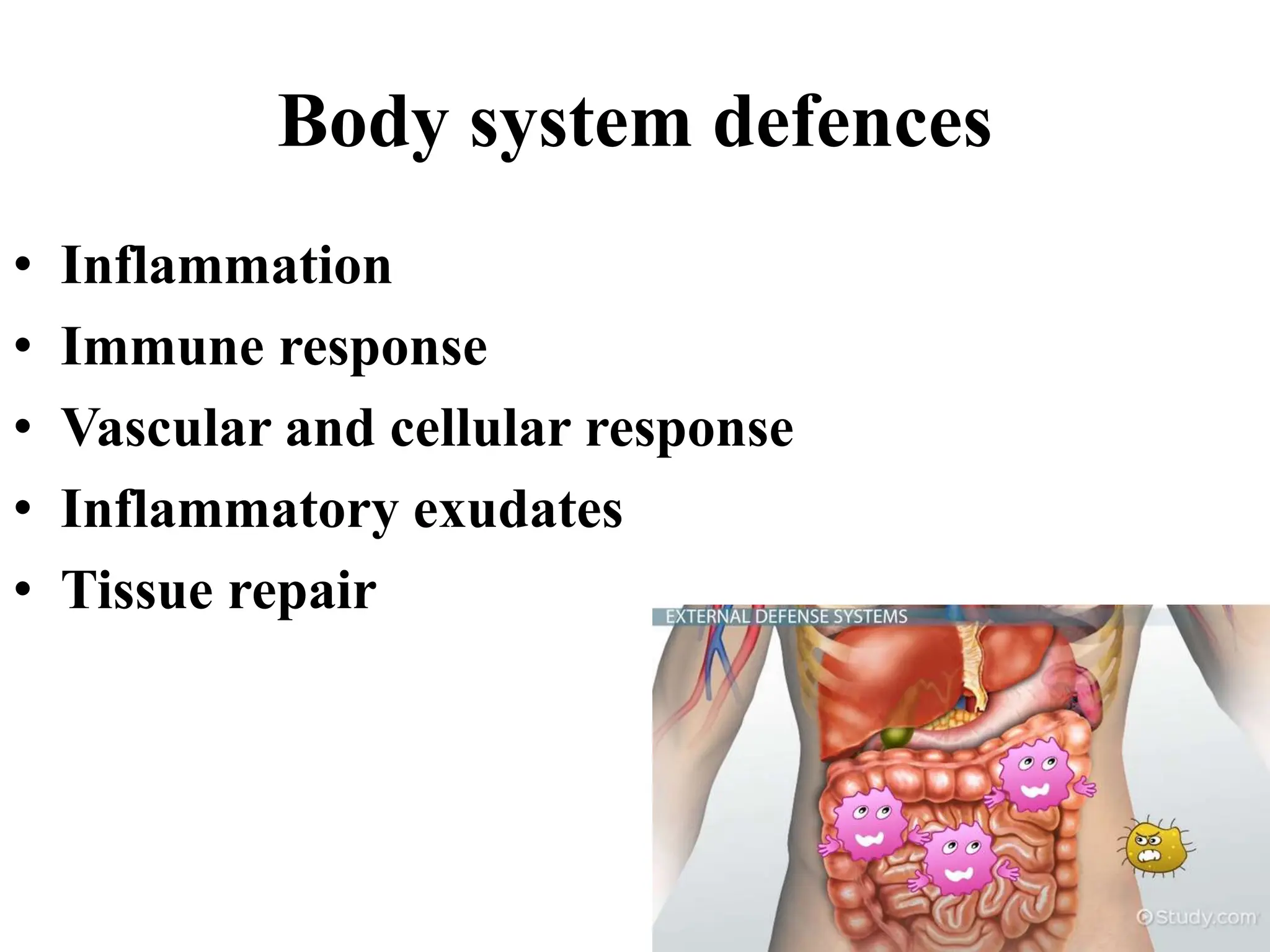 BODY DEFENSES AGAINST INFECTION.....pptx