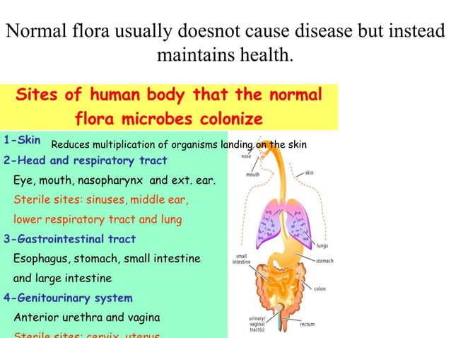 BODY DEFENSES AGAINST INFECTION.....pptx | Infectious Diseases ...