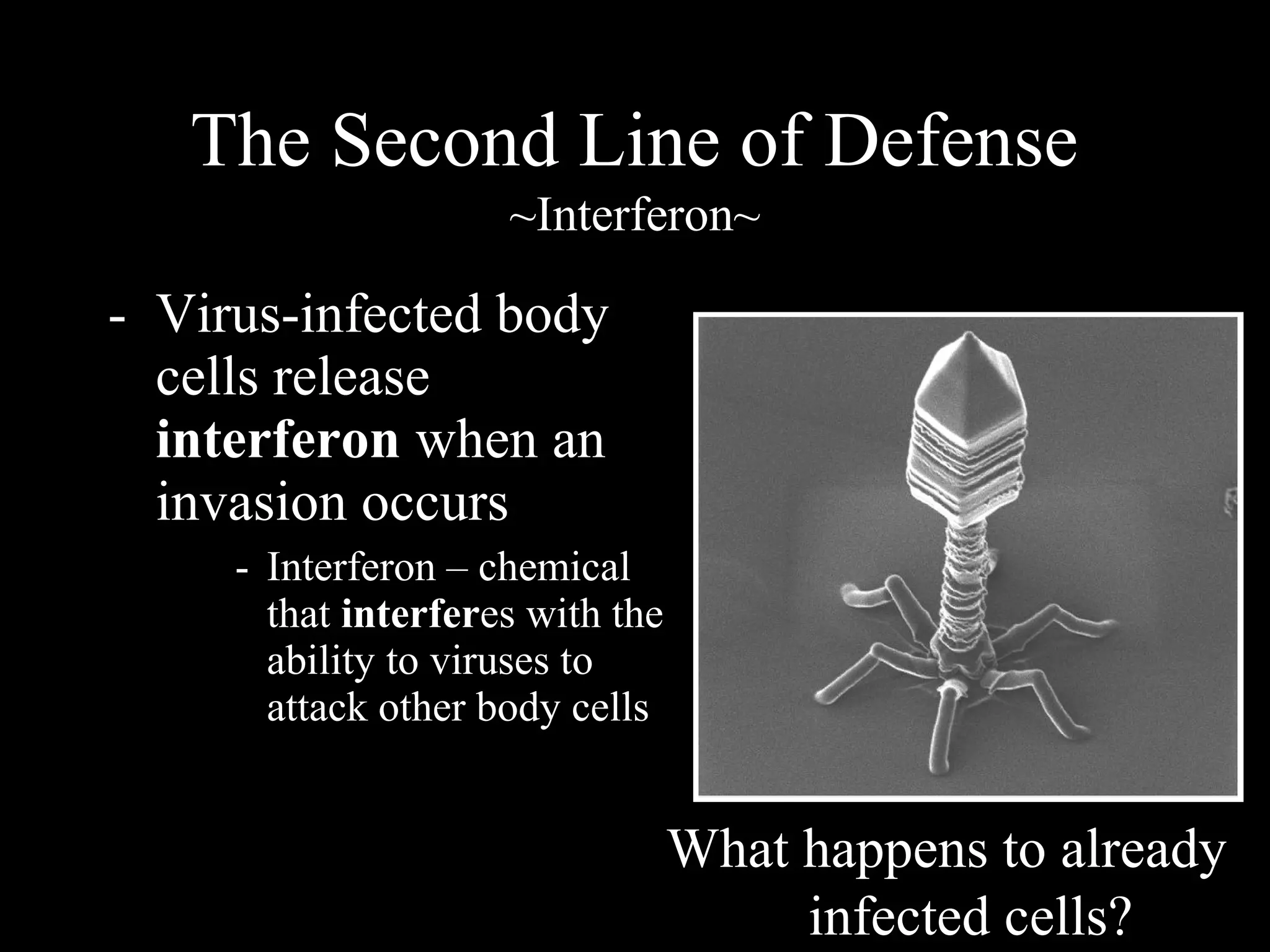 Body defenses against infection | PPT