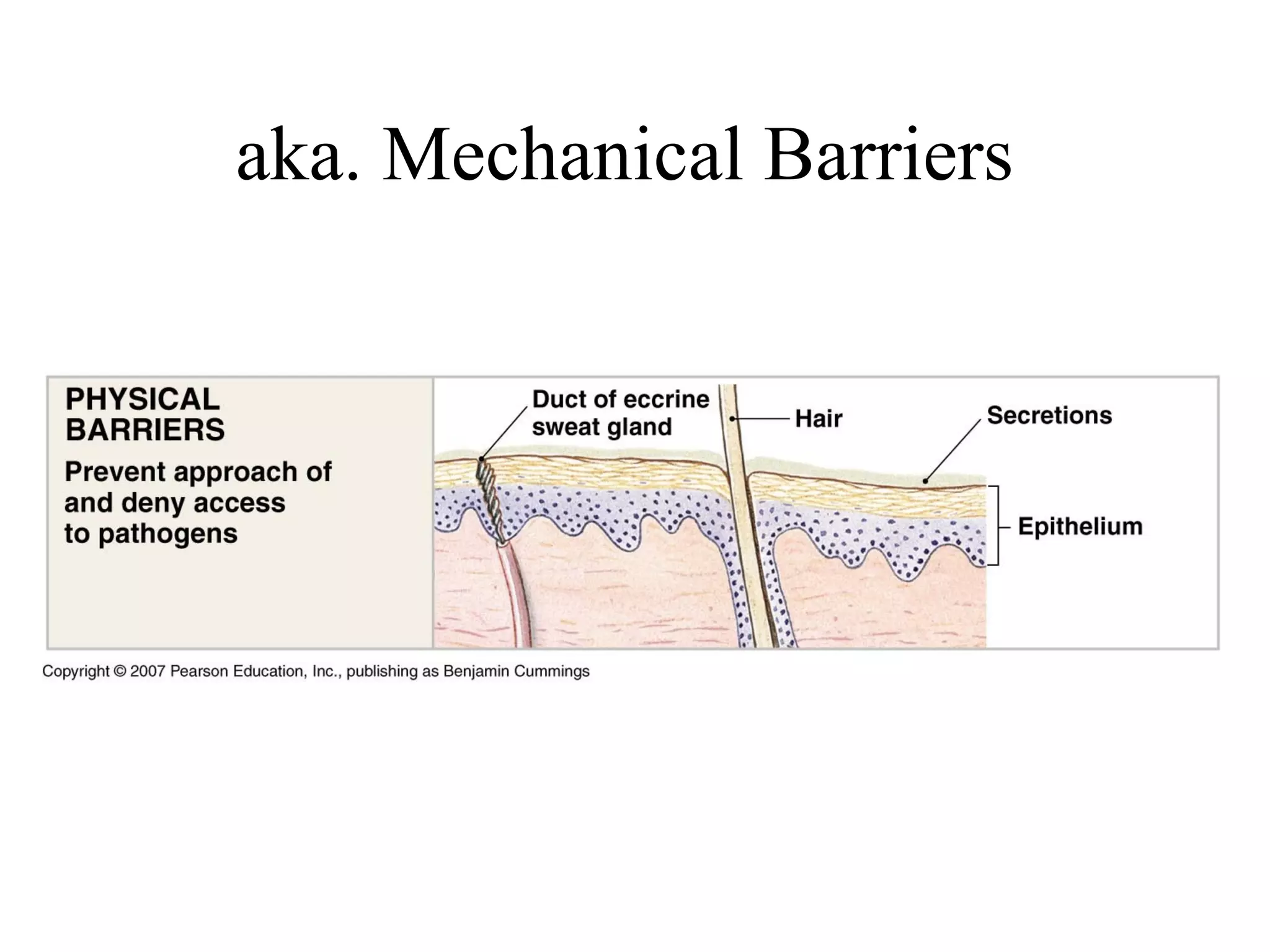 Body defenses against infection | PPT