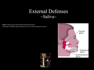 Body defenses against infection | PPT