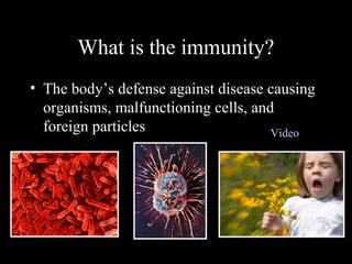 Body defenses against infection | PPT
