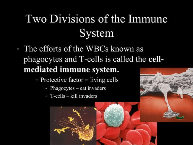 Body defenses against infection | PPT