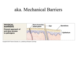 Body defenses against infection | PPT