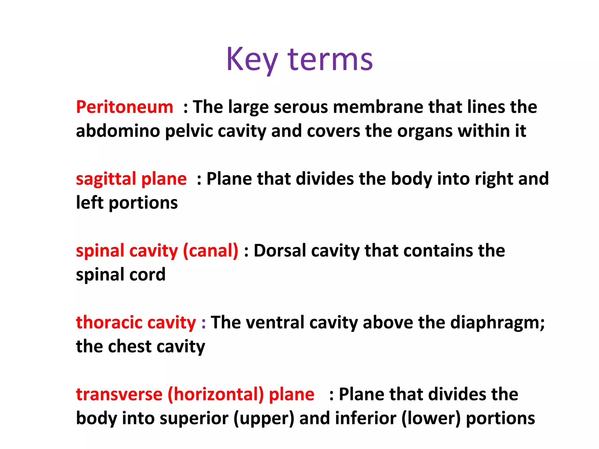 Body directions- regions -planes | PPT