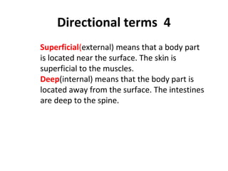 Body directions- regions -planes | PPT