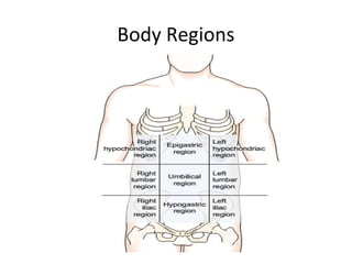 Body directions- regions -planes | PPT