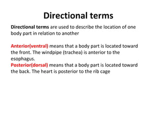 Body directions- regions -planes | PPT