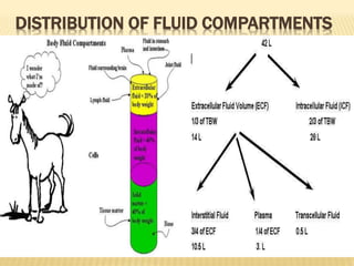 Body fluid | PPTX