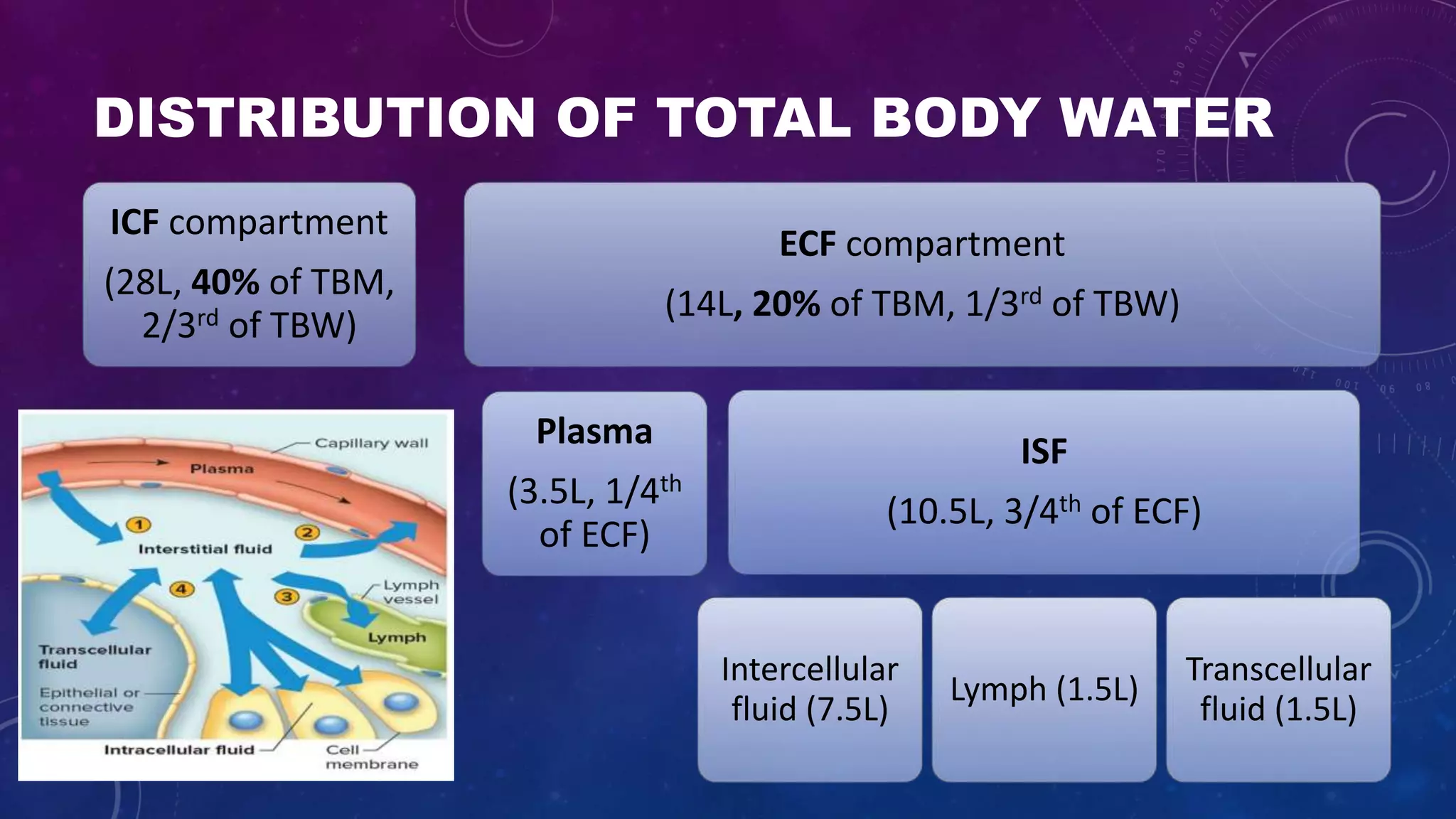 Body fluid homeostasis | PPTX
