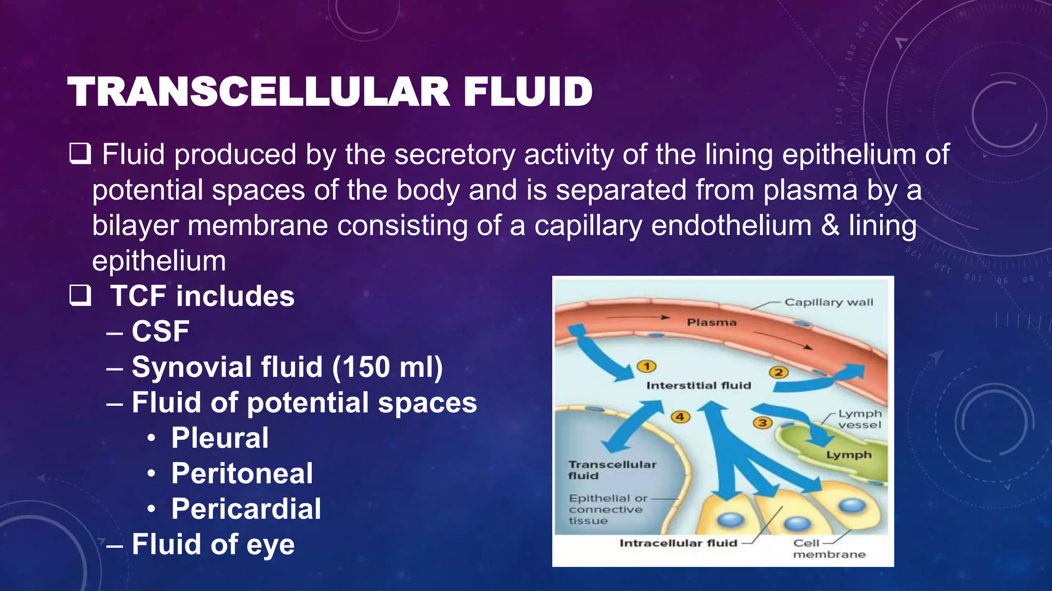 Body fluid homeostasis | PPTX