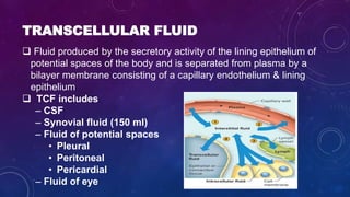 Body fluid homeostasis | PPTX