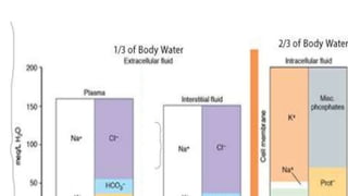 Body fluid | PPT