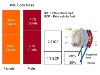 BODY FLUID.ppt