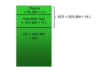 BODY FLUID.ppt