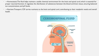 Body fluid and their functions in the body | PPT
