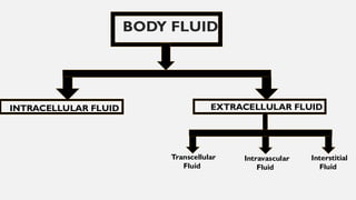 Body fluid and their functions in the body | PPT