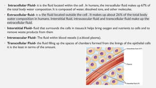 Body fluid and their functions in the body | PPT