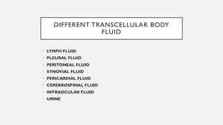 Body fluid and their functions in the body | PPT