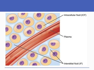 Body fluid- Intracellular, Extracellular and Specilized fluids.pptx